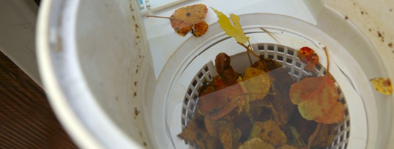 A Guide To Diatomaceous Earth (DE) Filters - The Fibreglass Pool Company