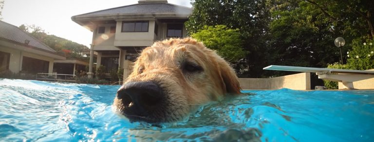 Everything You Need To Know About Pool Chillers - The Fibreglass Pool ...