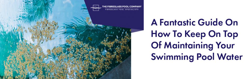 A Fantastic Guide On How to Keep on Top Of Maintaining Your Swimming ...